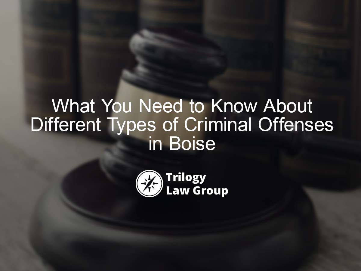 What You Need To Know About Different Types Of Criminal Offenses In ...